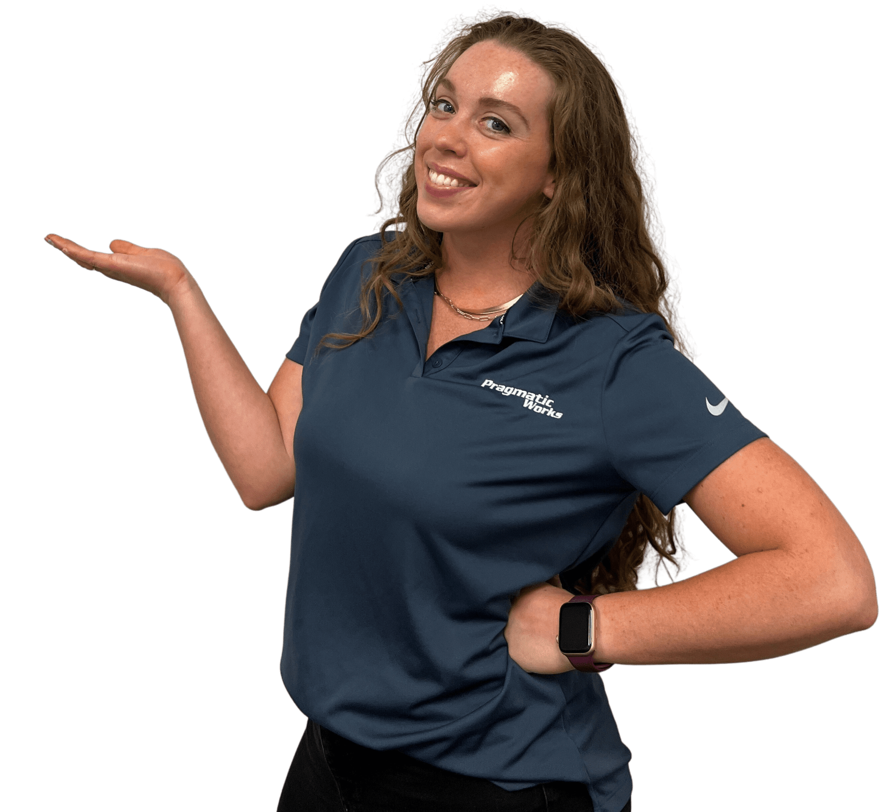 Microsoft Power Platform Advanced Courses - Pragmatic Works